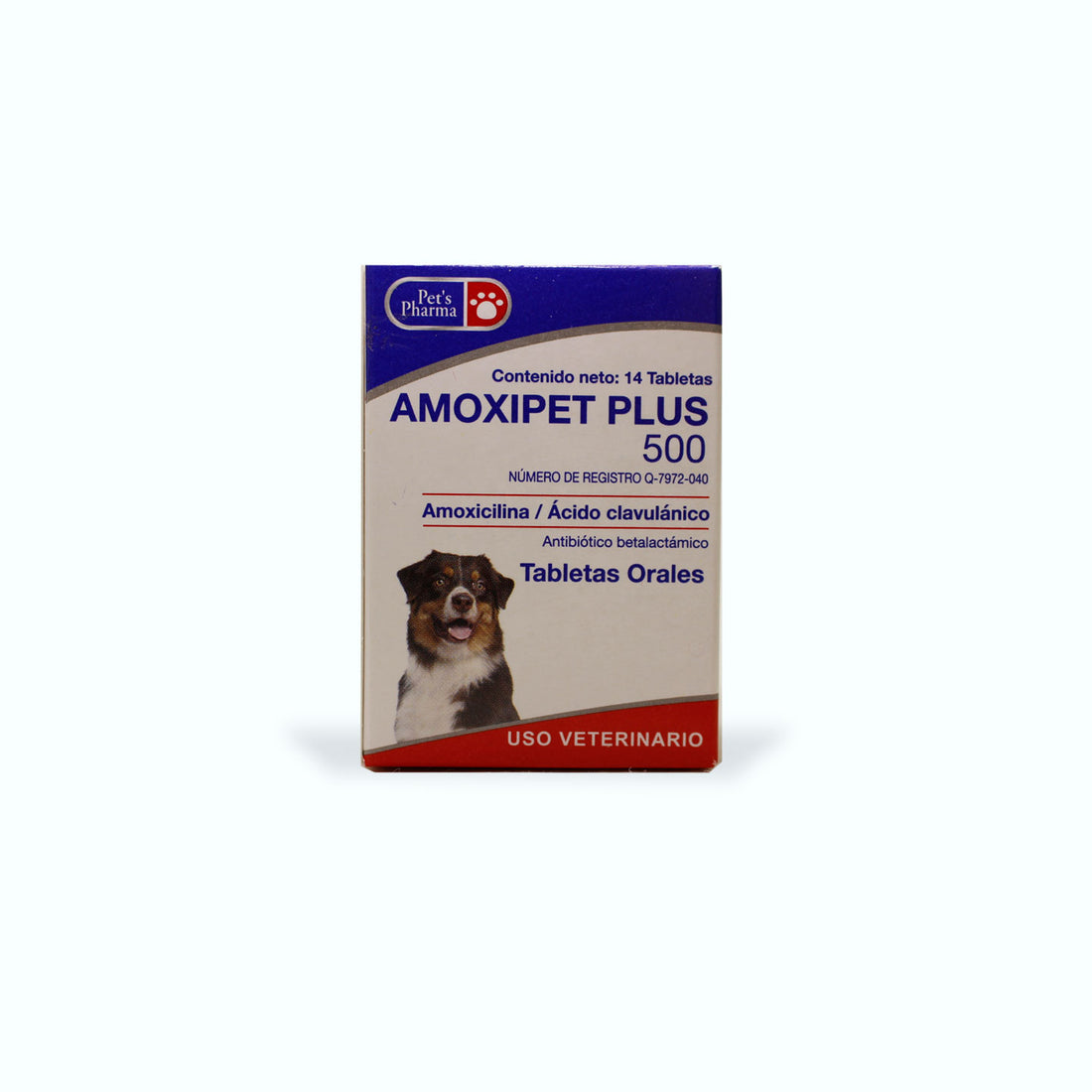 Antibiótico Amoxipet Plus Tabletas – TayPets