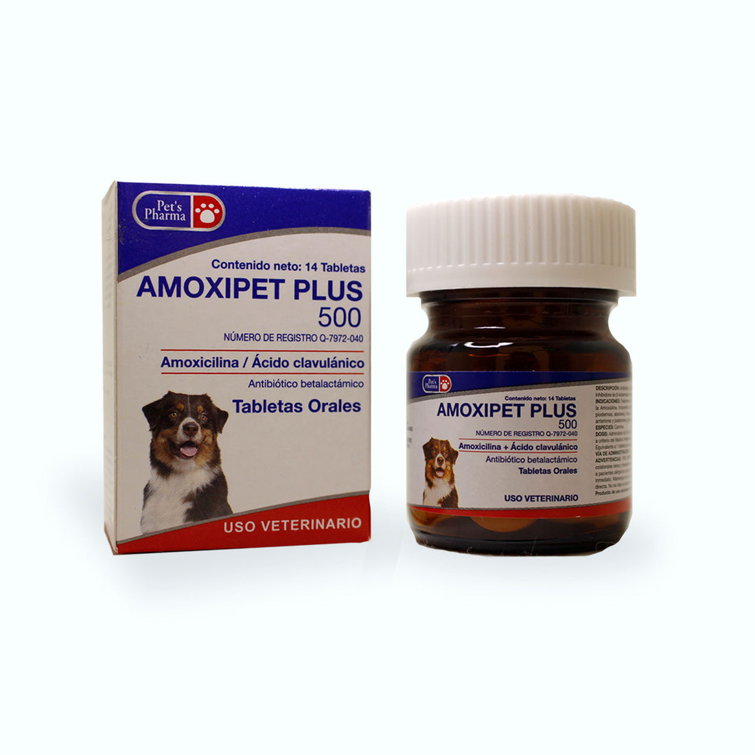 Antibiótico Amoxipet Plus Tabletas – TayPets